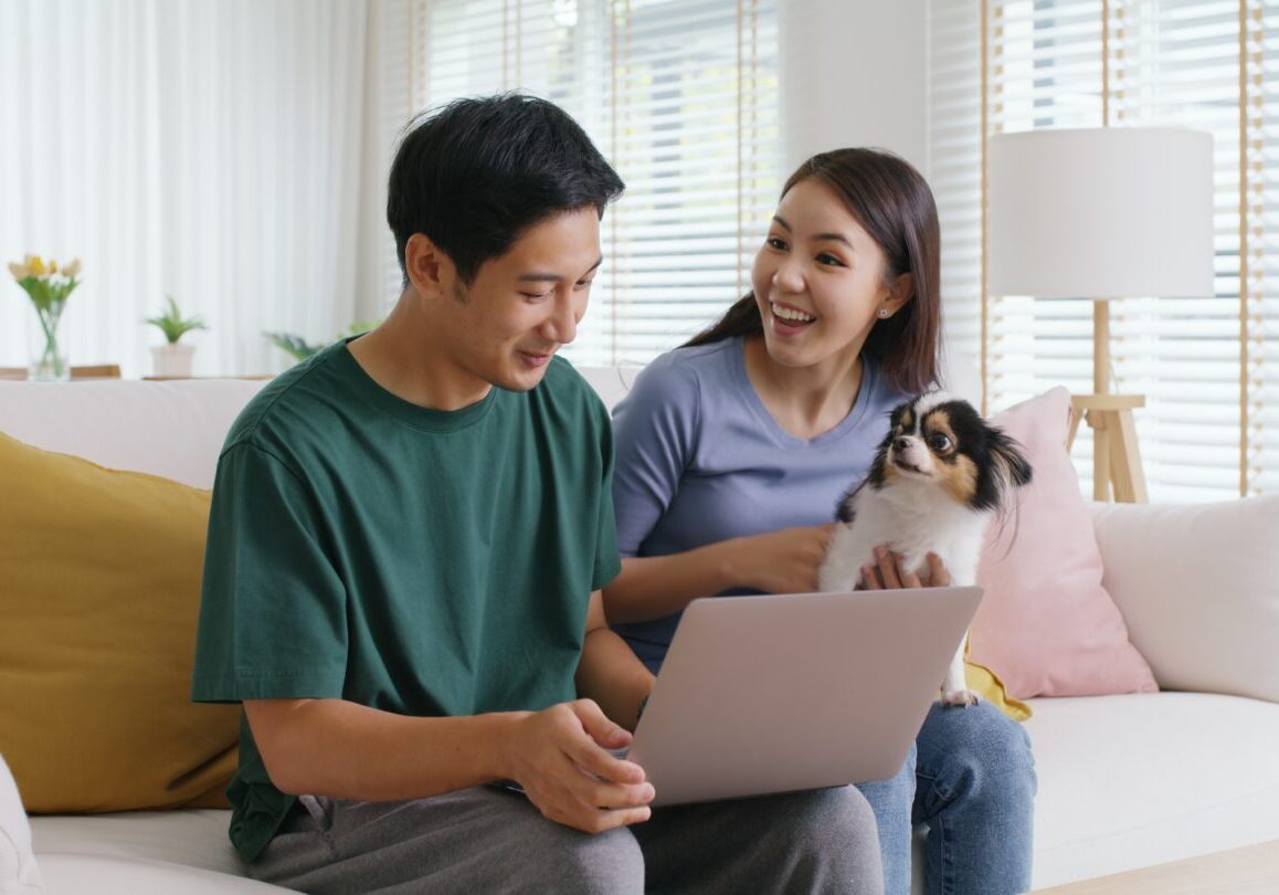 The Power of Data: Unveiling the Pawsitive Connection - Stirista